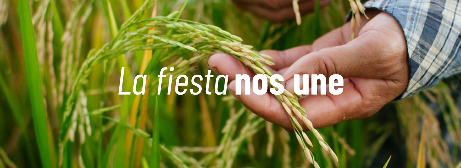 FIESTA NACIONAL DEL ARROZ. - 3260
