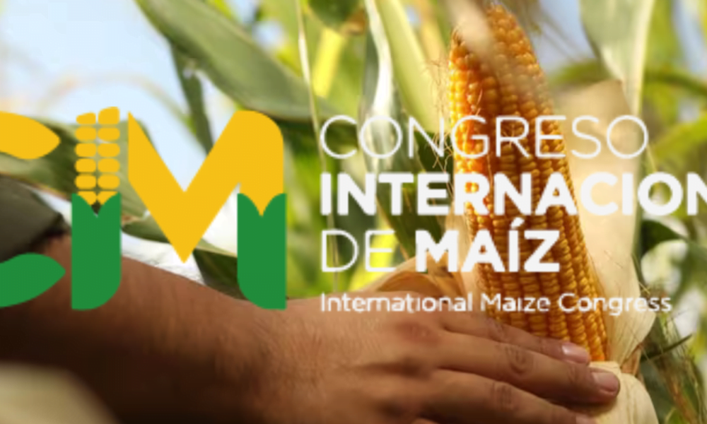 Congreso Internacional del Maíz. – 3260